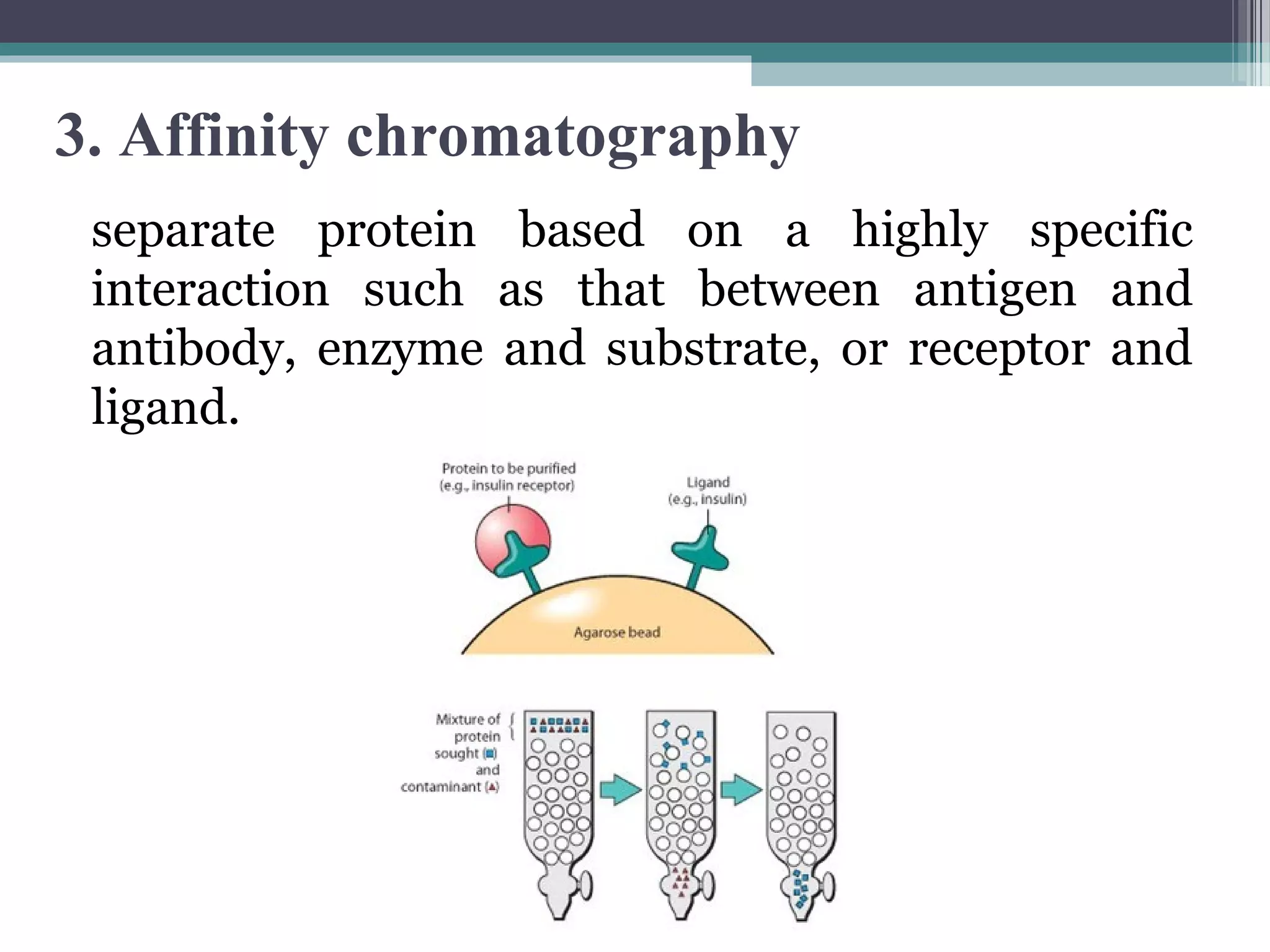 Fplc(fast protein liquid chromatography ) | PPT