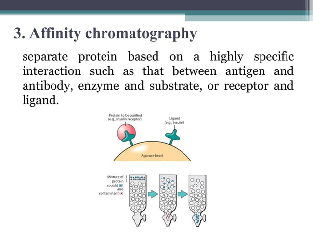 Fplc(fast protein liquid chromatography ) | PPT