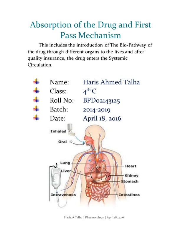 Absorption of Drug and First Pass Mechanism | DOCX | Chemistry | Science