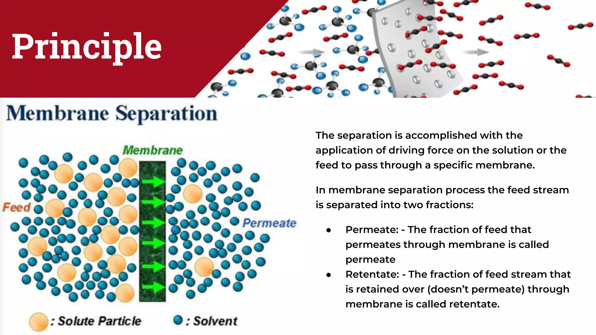 Membrane Separation Processes | PPTX | Physics | Science