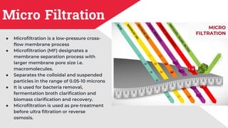 Membrane Separation Processes | PPTX | Physics | Science
