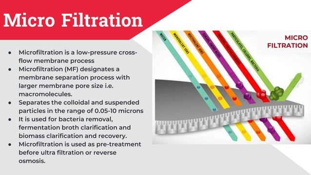 Membrane Separation Processes | PPTX | Physics | Science