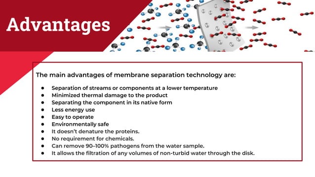 Membrane Separation Processes | PPTX | Physics | Science