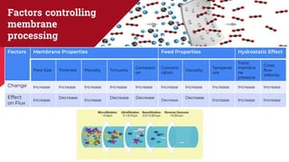 Membrane Separation Processes | PPTX
