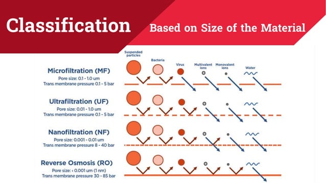Membrane Separation Processes | PPTX | Physics | Science