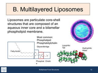 Research Group Overview | PPTX