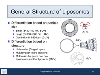Research Group Overview | PPTX