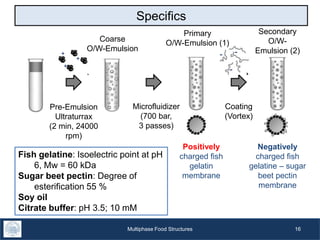 Research Group Overview | PPTX