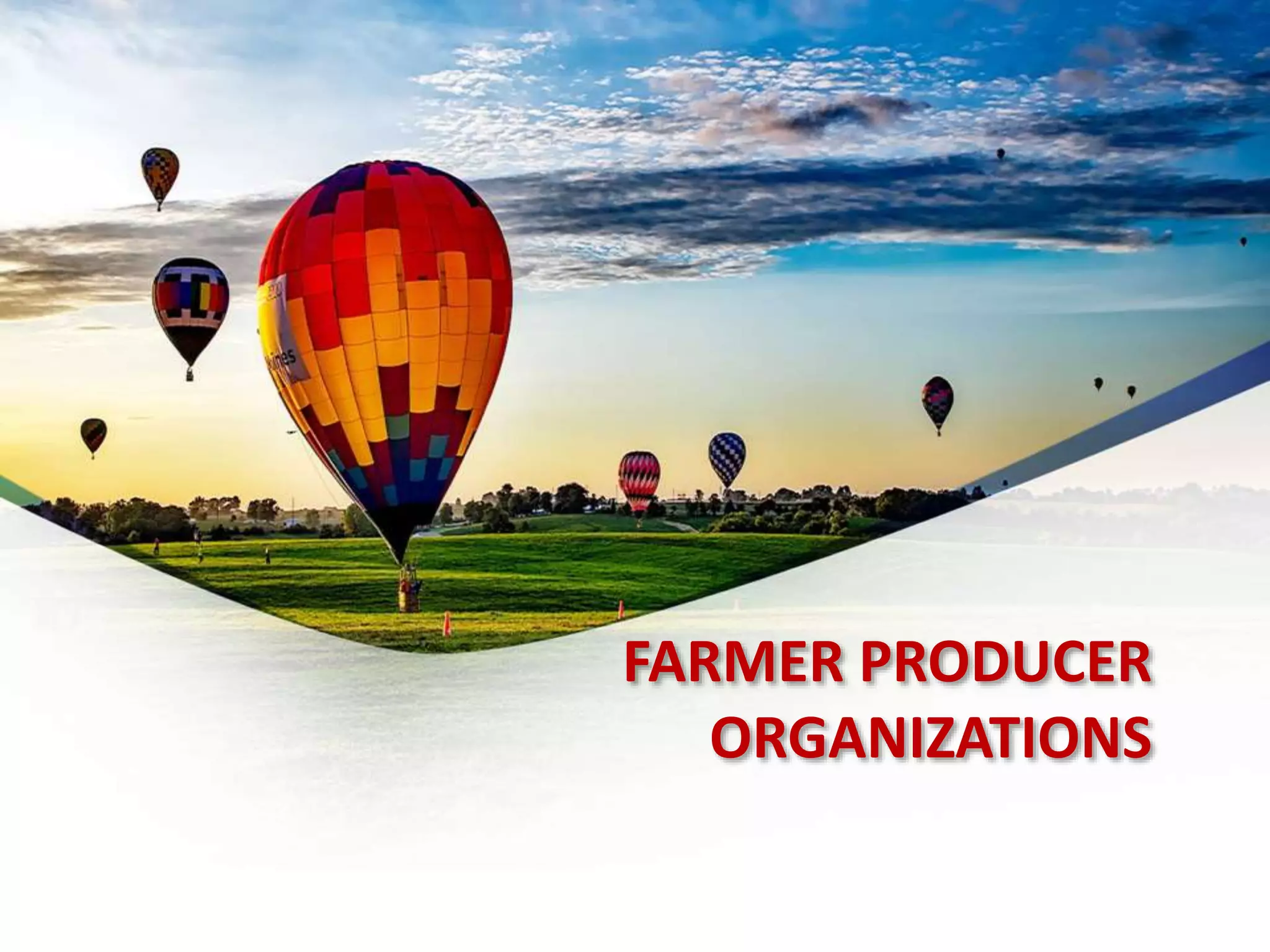 FARMERS PRODUCING ORGANISATIONS | PPTX