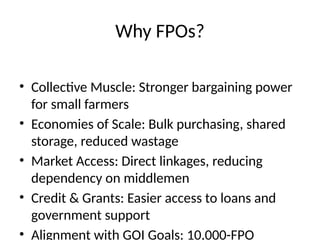 FPO_Presentation.pptxdfbdfbdfbdffdgdfbdfb | PPTX