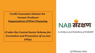 FPO SCHEME OVER VIEW AND STEPS FOR CREDIT GUARANTEE | PDF