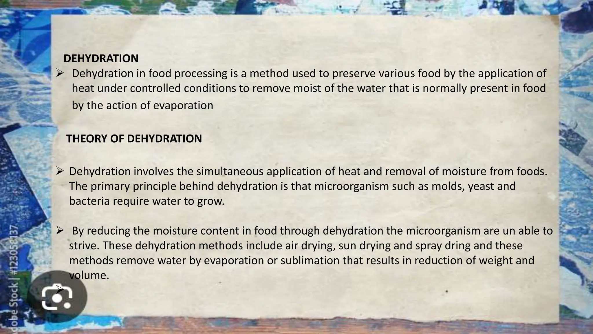 FOOD PROCESSING AND PRESERVATION POWER POINT | PPTX