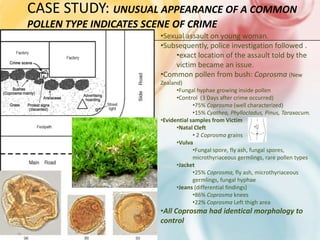 Forensic Palynology | PPTX