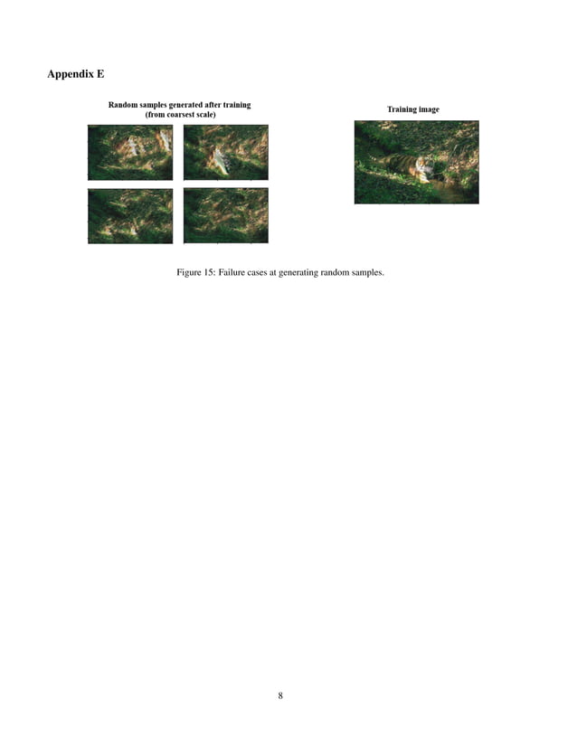 SinGAN for Image Denoising | PDF