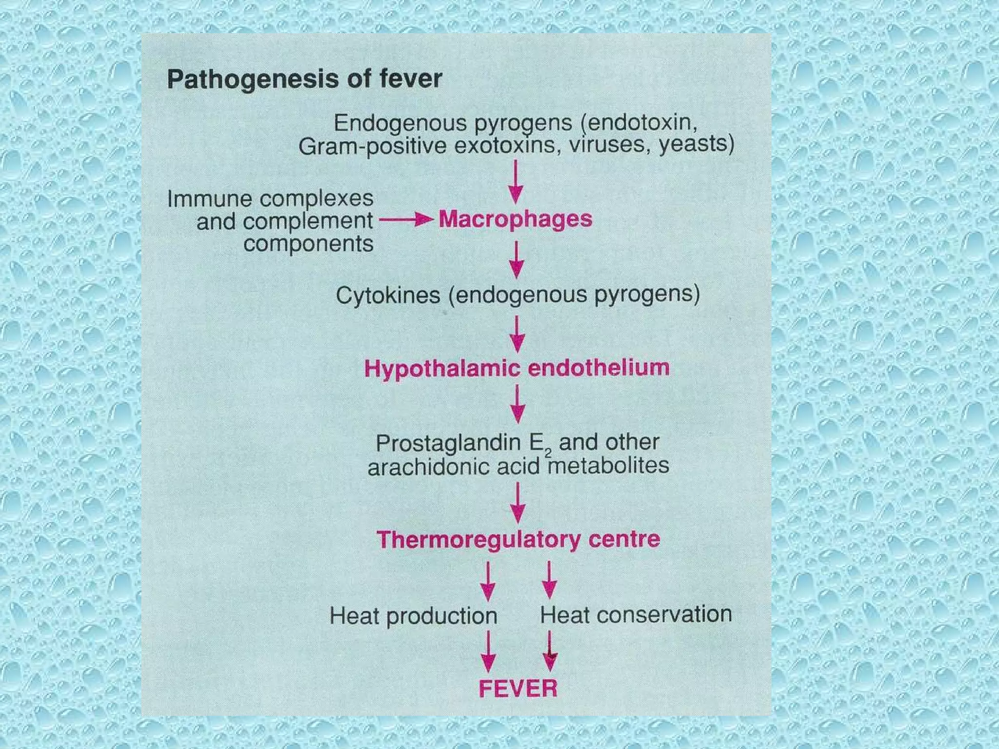 Pyrexia Of Unknown Origin (PUO) | PPT