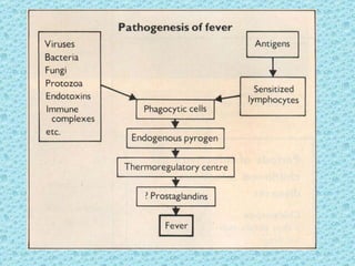 Pyrexia Of Unknown Origin (PUO) | PPT
