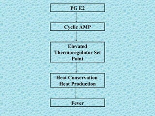 Pyrexia Of Unknown Origin (PUO) | PPT