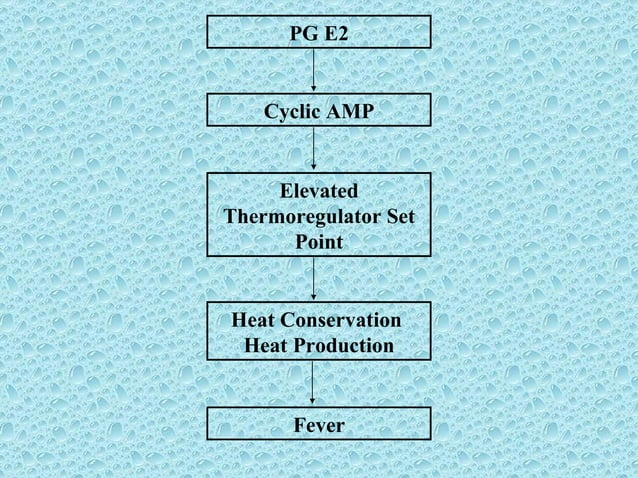 Pyrexia Of Unknown Origin (PUO) | PPT