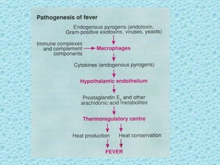 Pyrexia Of Unknown Origin (PUO) | PPT