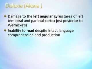 Cerebral lateralisation | PPTX
