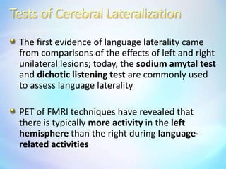 Cerebral lateralisation | PPTX