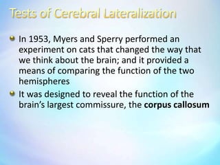 Cerebral lateralisation | PPTX