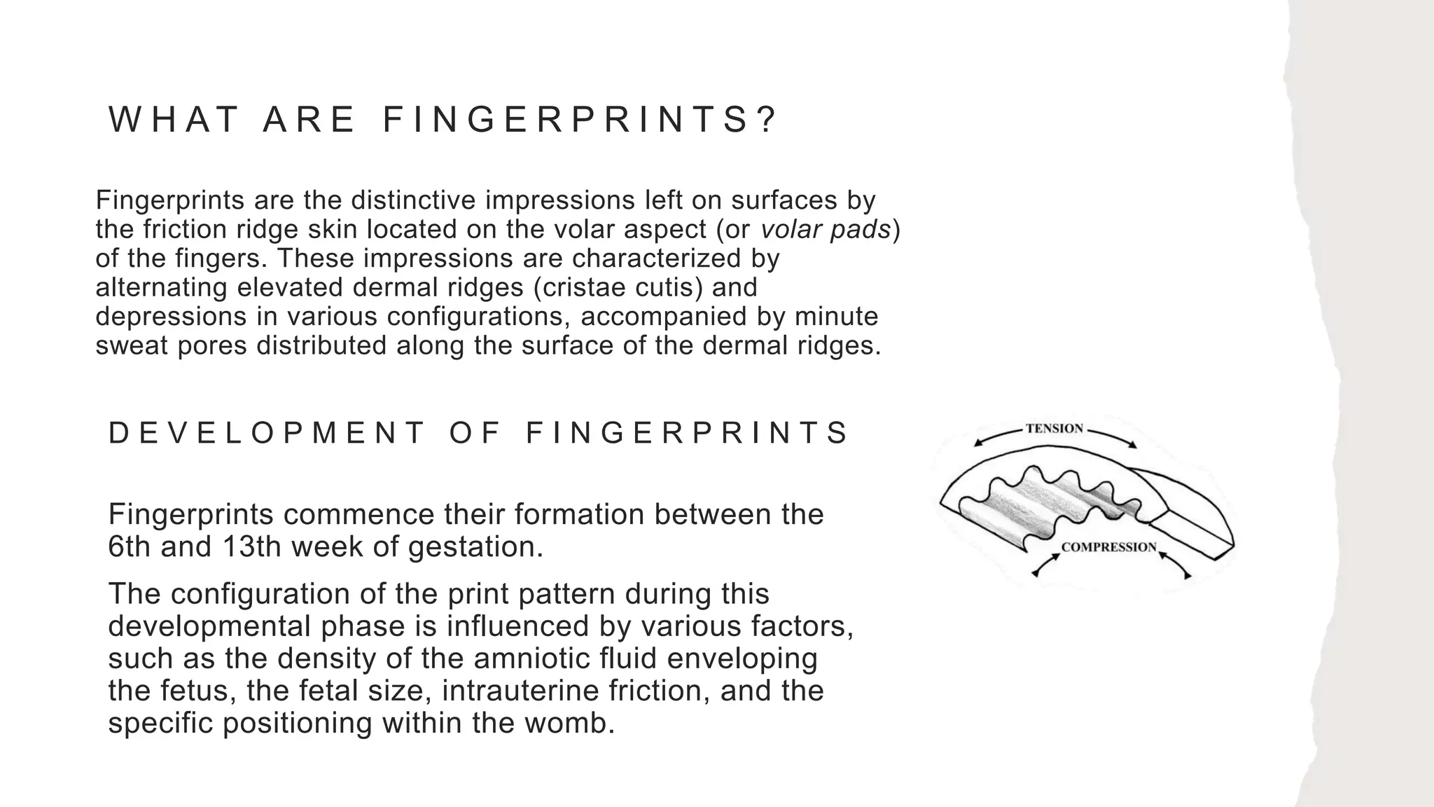 Friction Ridge characteristics and comparison of Fingerprints.pptx