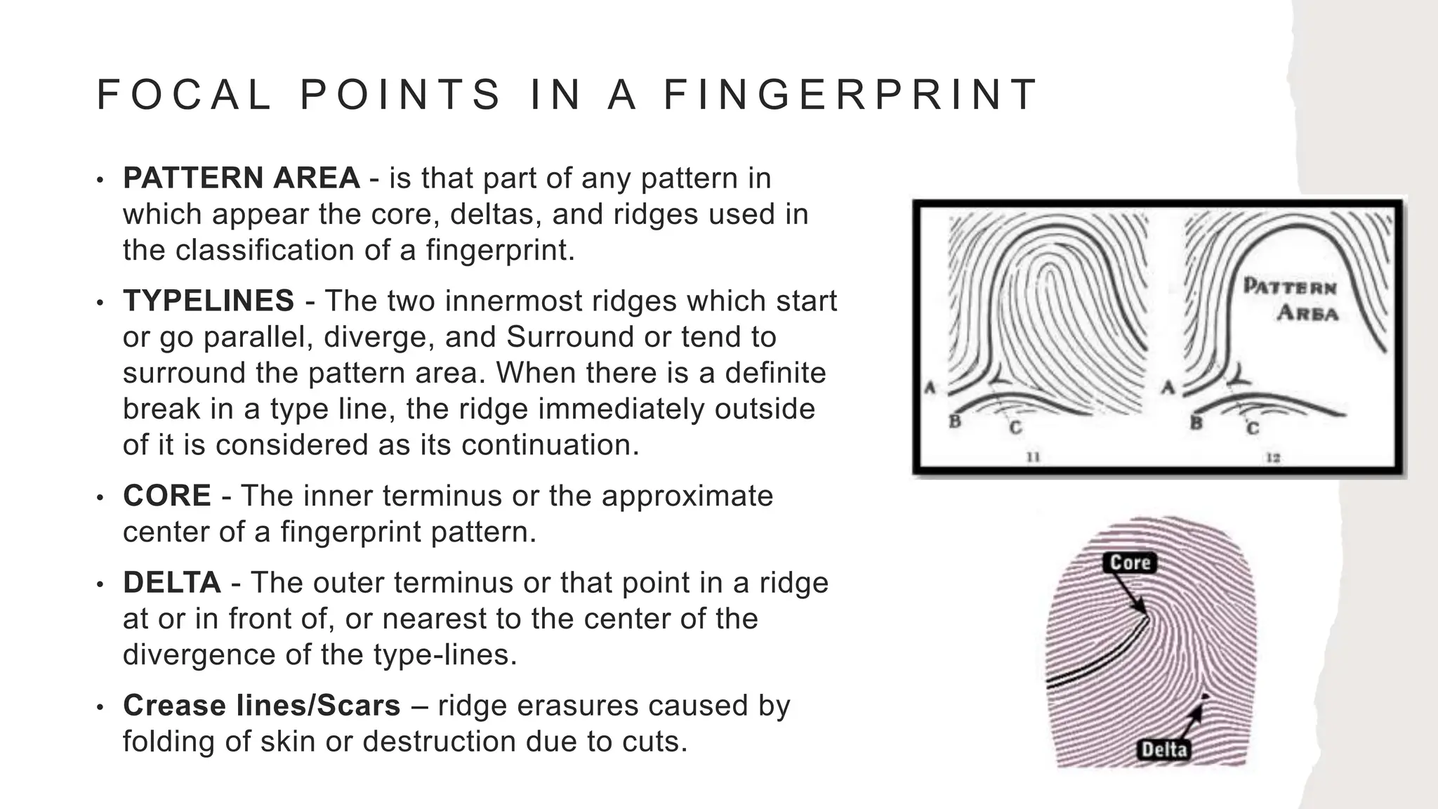Friction Ridge characteristics and comparison of Fingerprints.pptx