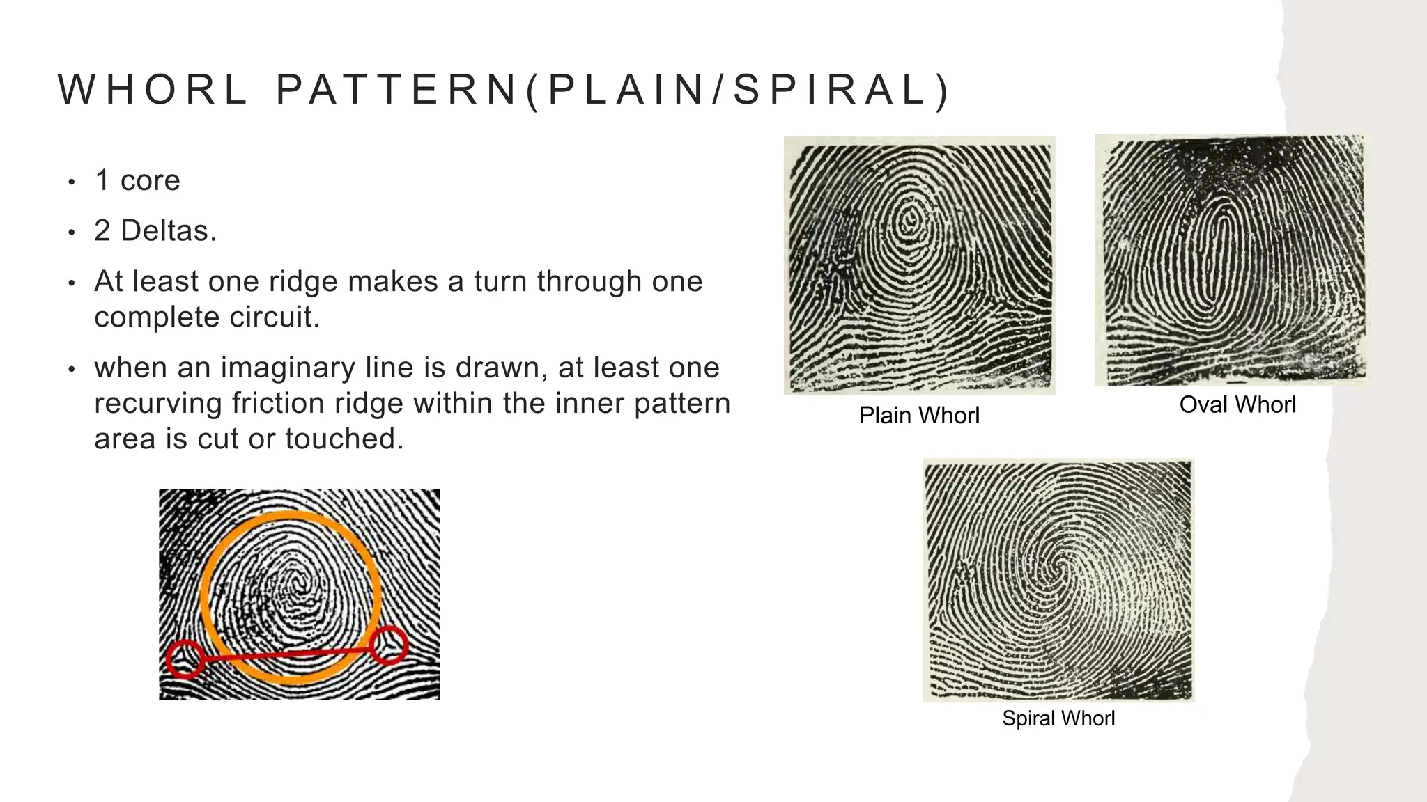 Friction Ridge characteristics and comparison of Fingerprints.pptx