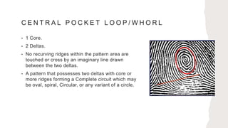 Friction Ridge characteristics and comparison of Fingerprints.pptx