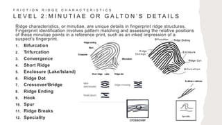 Friction Ridge characteristics and comparison of Fingerprints.pptx