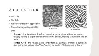 Friction Ridge characteristics and comparison of Fingerprints.pptx