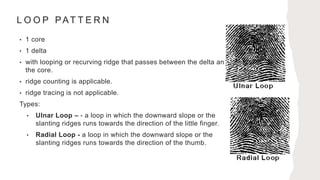 Friction Ridge characteristics and comparison of Fingerprints.pptx