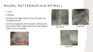 Friction Ridge characteristics and comparison of Fingerprints.pptx