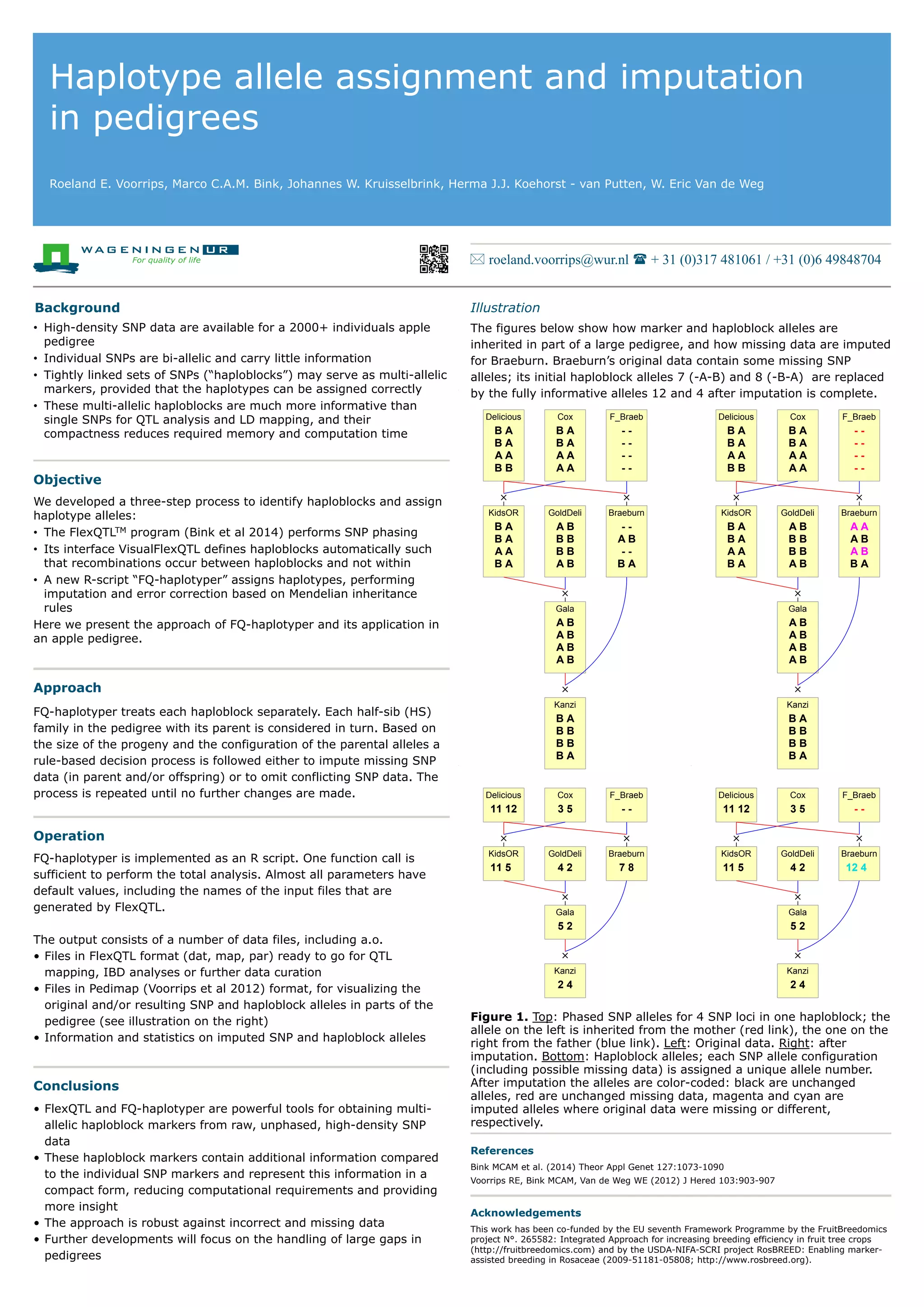 Fq haplotyper poster-eucarpia-2015-fruit-section_bologna-june_14-18 | PDF