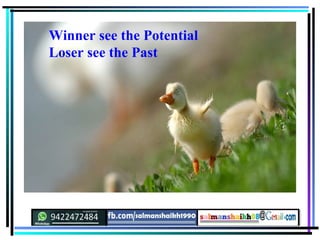 29 winner vs loser | PPT