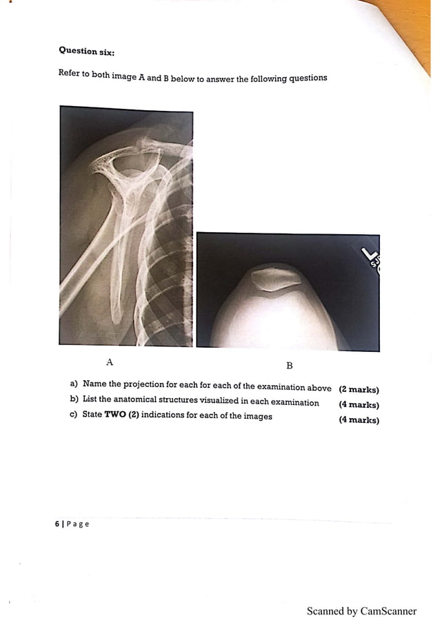 FQE, IPA.pdf | Grocery Shopping | Shopping