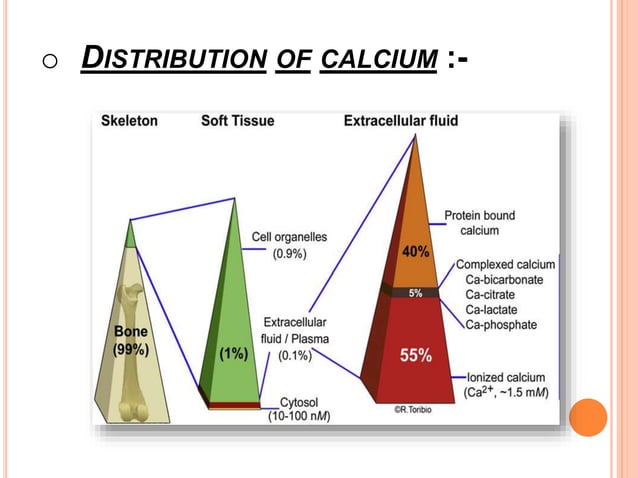CALCIUM IN BIOLOGICAL SYSTEM | PPT