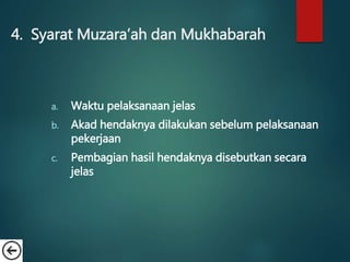 Musaqah, Muzara’ah dan Mukhabarah | PPTX