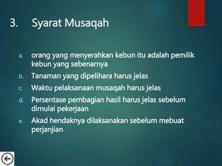 Musaqah, Muzara’ah dan Mukhabarah | PPTX