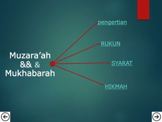 Musaqah, Muzara’ah dan Mukhabarah | PPTX