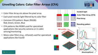 “Seeing Through Machines: A Guide to Image Sensors for Edge AI ...