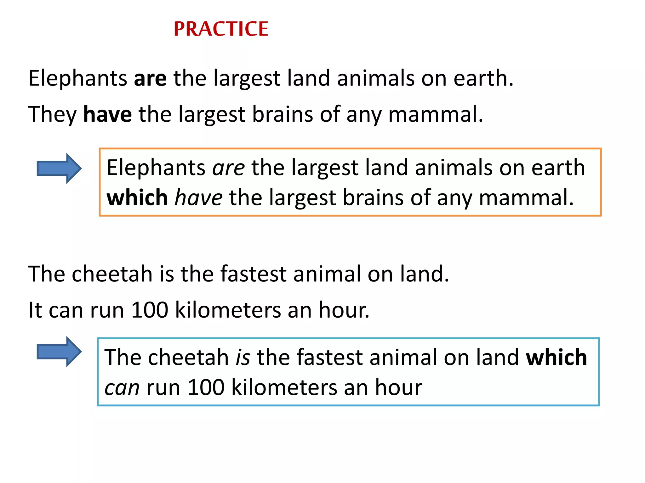 Factual Report 2 | PPT