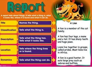 Factual Report 2 | PPT