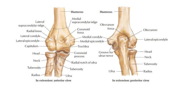 Fractures around elbow lateral condyle and intercondylar fractures | PDF