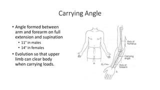 Fractures around elbow lateral condyle and intercondylar fractures | PDF