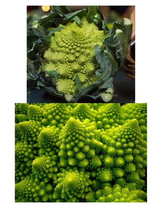 Fractal.pdf