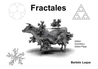 Fractales bartolo luque - curso de introduccion sistemas complejos | PDF