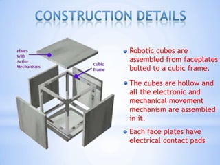 Fractal Robots | PPTX