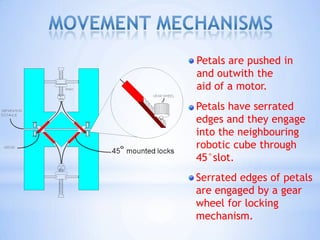 Fractal Robots | PPTX